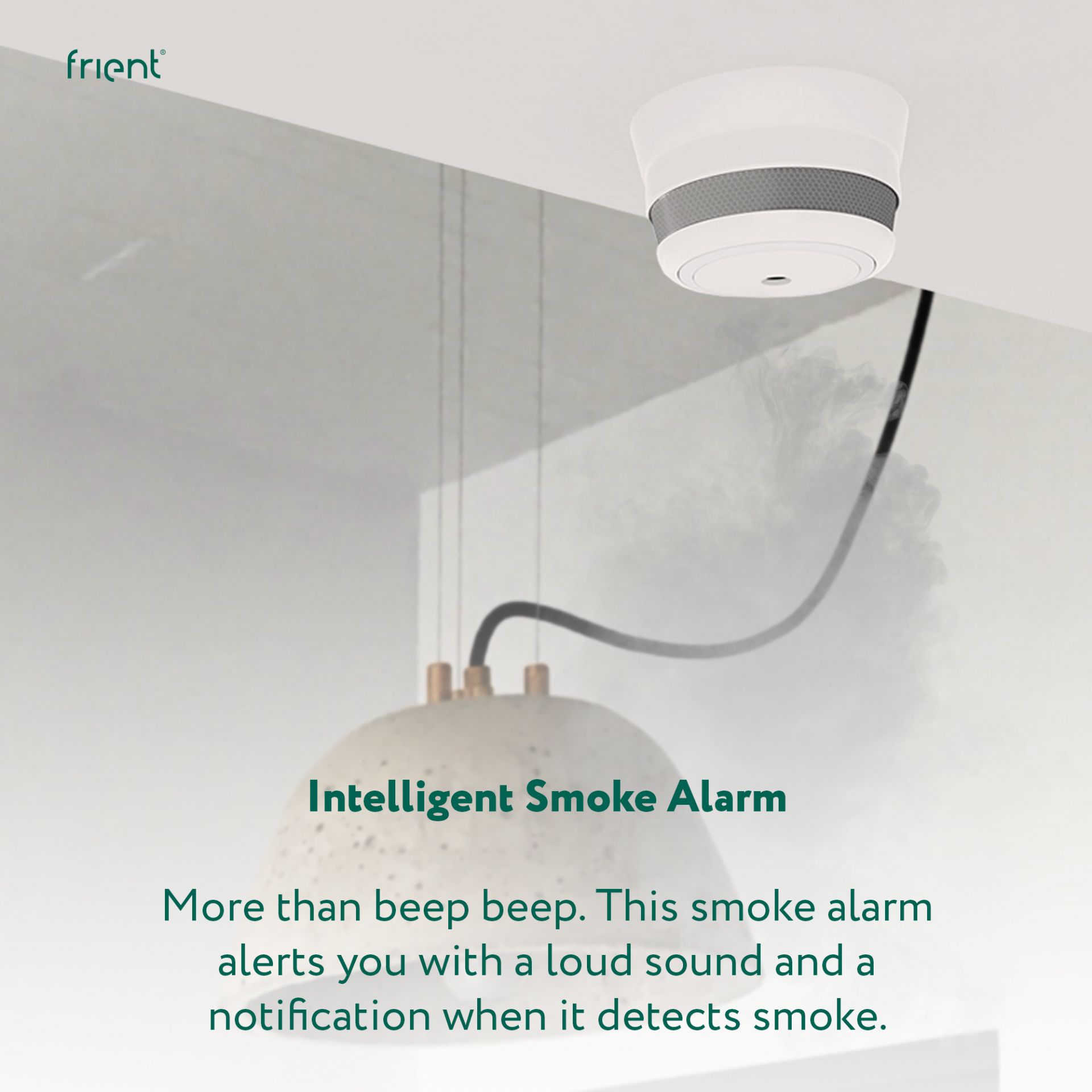 frient Intelligent Smoke Alarm | 20209600